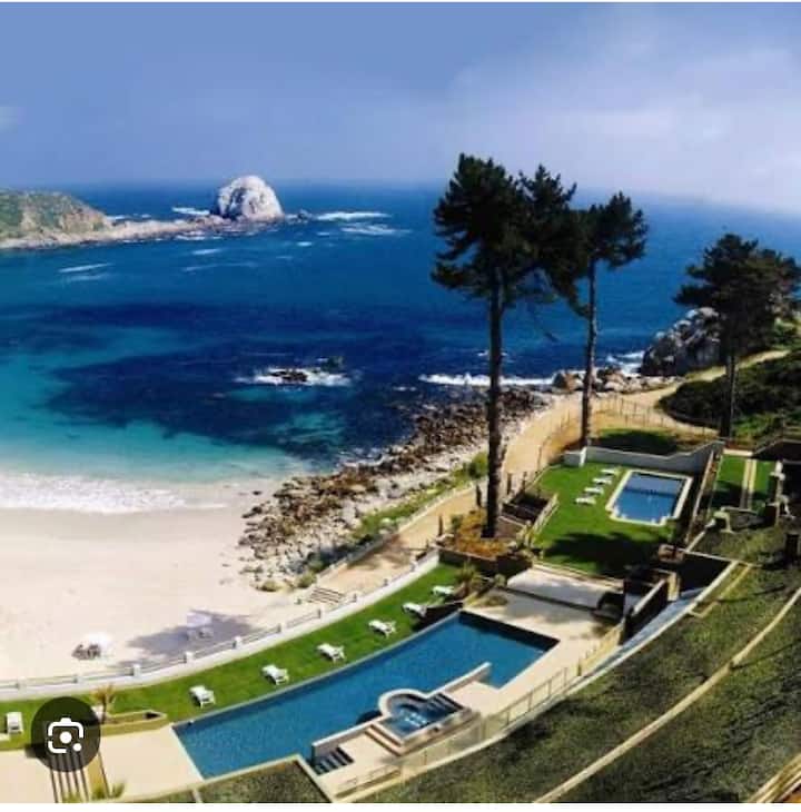 Arriendo Depto. Pinares Del Canelillo Algarrobo - Algarrobo