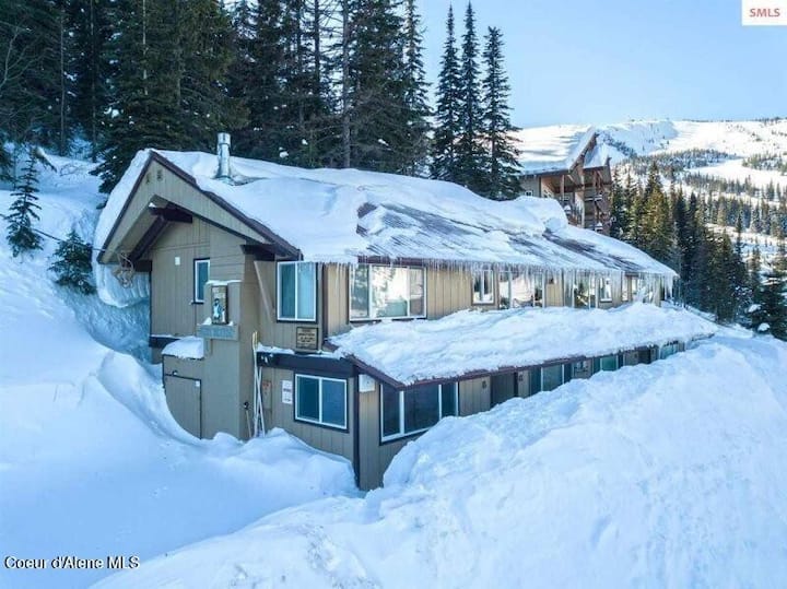 Blue Beetle Condo – Ski Studio, Walk To Lifts - Sandpoint, ID