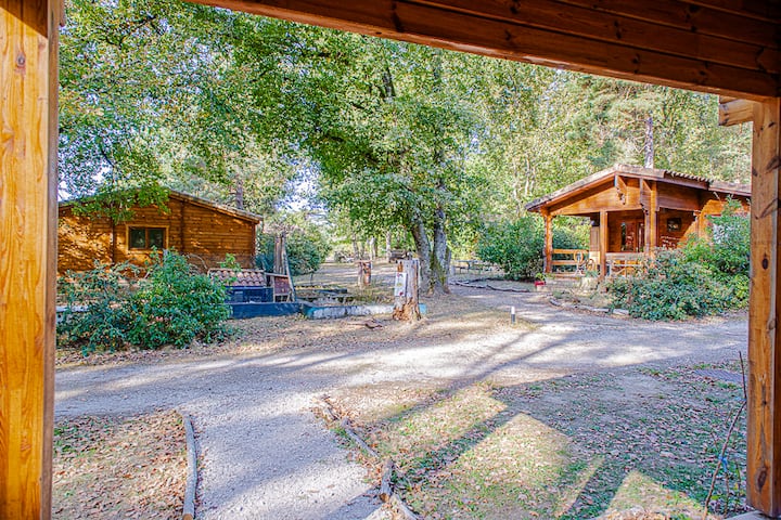 2 Chalets - 15 Personnes - Tarn