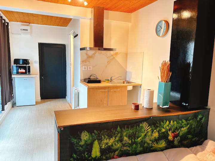 Studio- Petit Chalet  à Côté Paris La Défense - Montesson