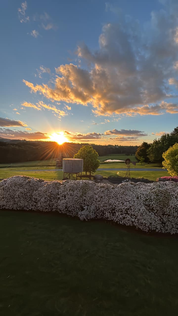 “Woods Lane Farm” Orange - Middle Of The Wineries - Orange