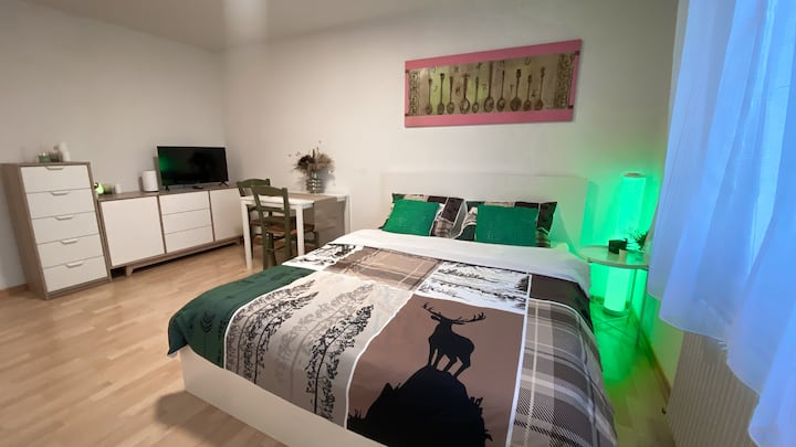 Studio Im 7. Stock – Stadtnah & Heimelig - Solothurn