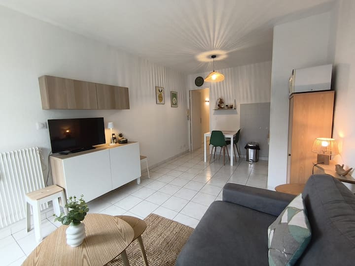 Mas De Tanit Studio Cabine - Antibes