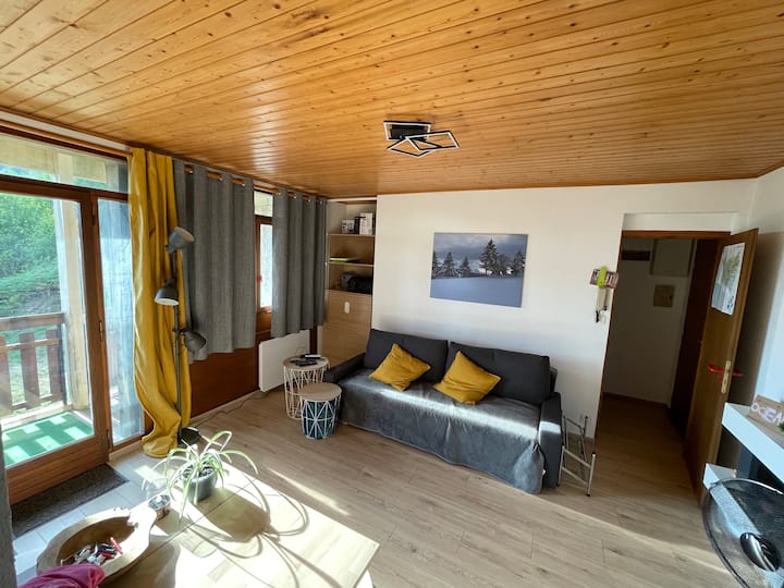 Charmant Appartement Au Pied Des Pistes - Bussang