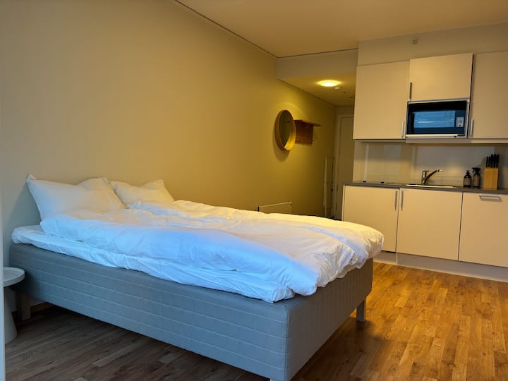 Central Studio In Vika – Walk Everywhere. - Oslo