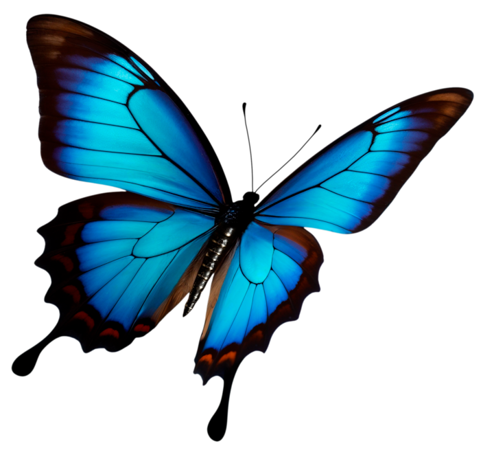 Sunny Haven Retreat - Hapur