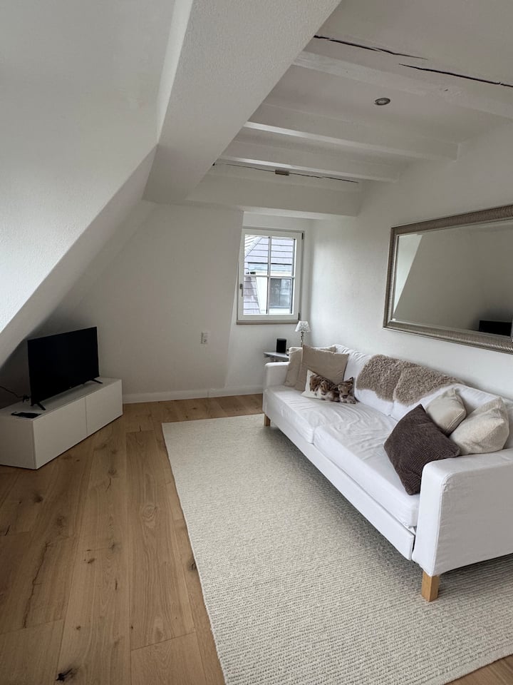 Neue Wohnung- Hyggelig Nahe Der Innenstadt - Biberach an der Riß