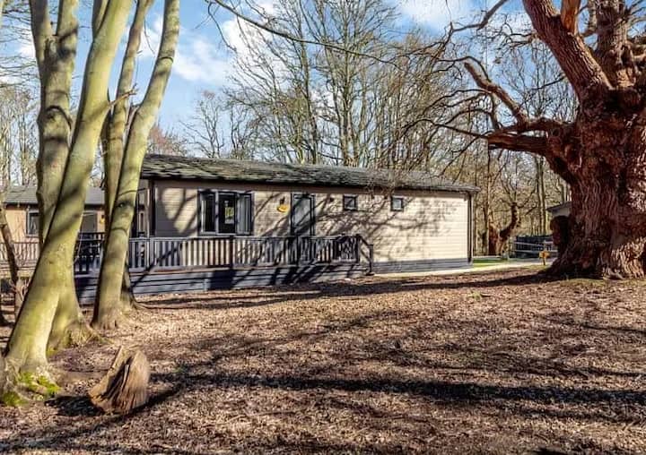 Ivy Lodge - Sleeps 6 - Ipswich, UK