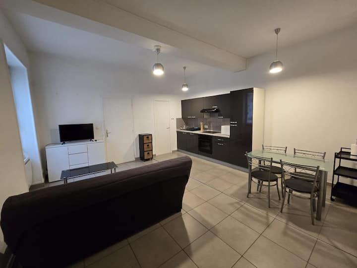 Beau T2 - Hypercentre Ecully, Calme & Equipé - Tassin-la-Demi-Lune