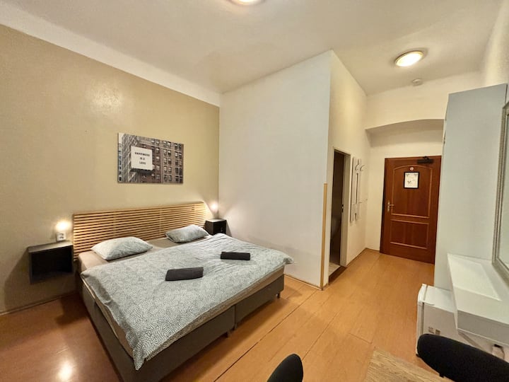 Comfortable Room With Private Bathroom - プラハ
