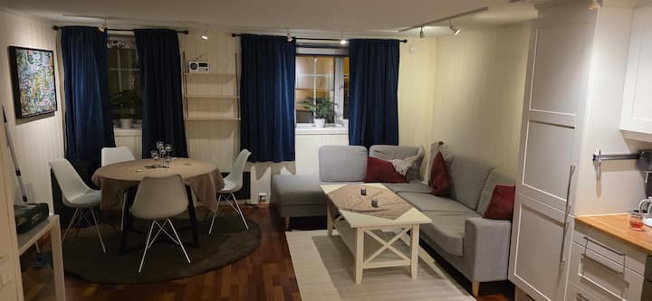 Sokkel Leilighet I Sentrum - Tromsø
