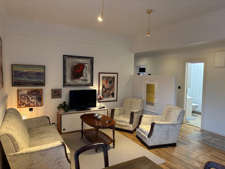 Bright Central Apartment - Reykjavík