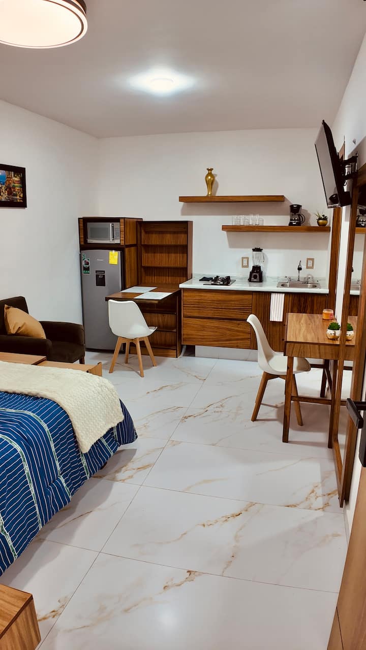 Luxury, Fully Equipped Elegant Apartment-suite (A) - Guadalajara