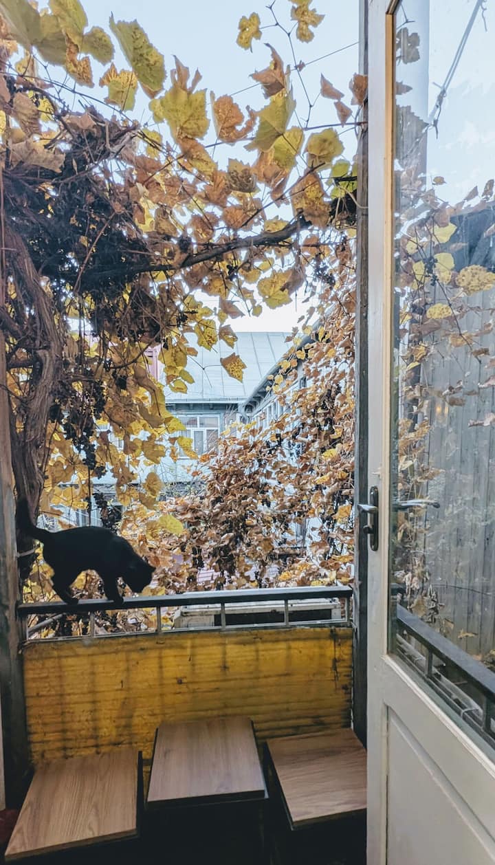 Blue Door With Balcony 118 Agmashenebeli Apartment - Tbilisi