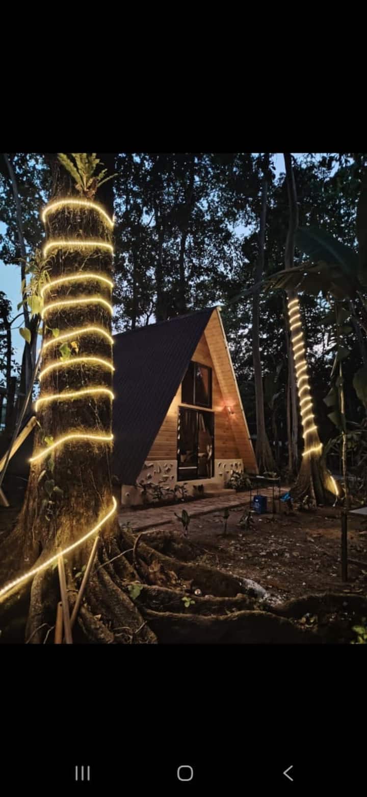 Casotel Te Ofrece Cabaña Angelina Dentro De Finca - Nuevo San Carlos