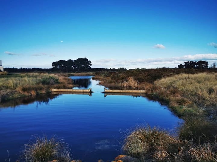 Pegasus Retreat - Ashley, New Zealand