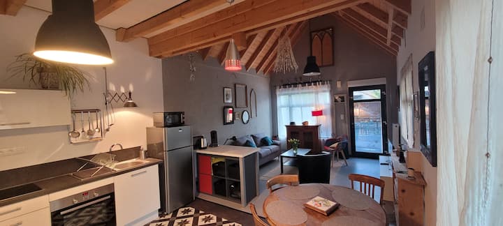 Loft Sous Charpente 
Europa-park & Route Des Vins - Marckolsheim
