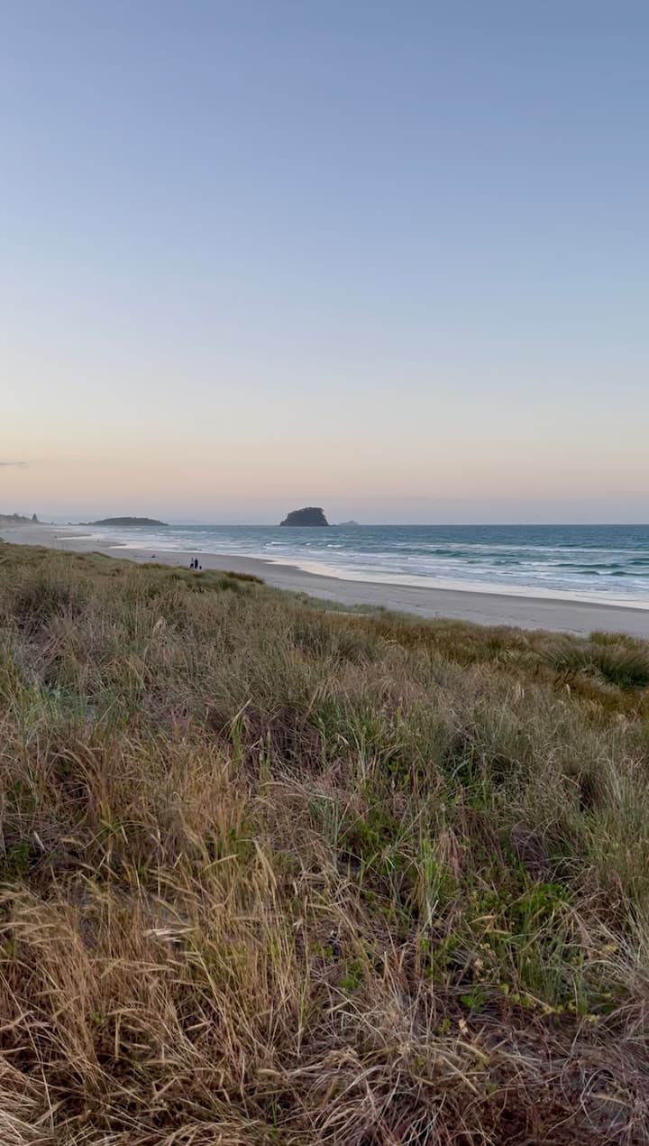Omanu Oasis - Mount Maunganui