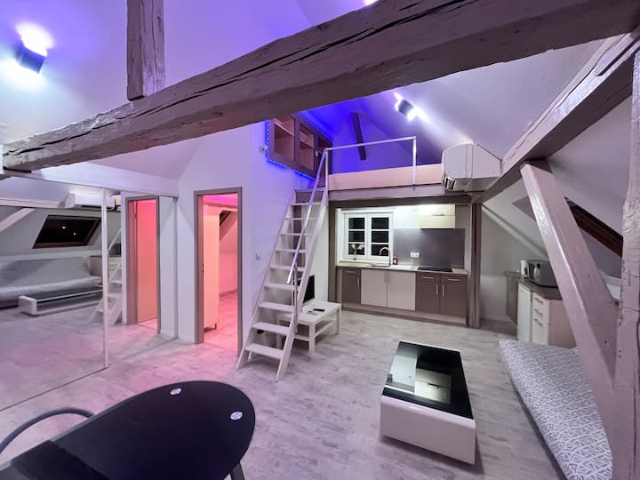 Charmant Studio Face à La Gare 15 Min Strasbourg - Bischwiller