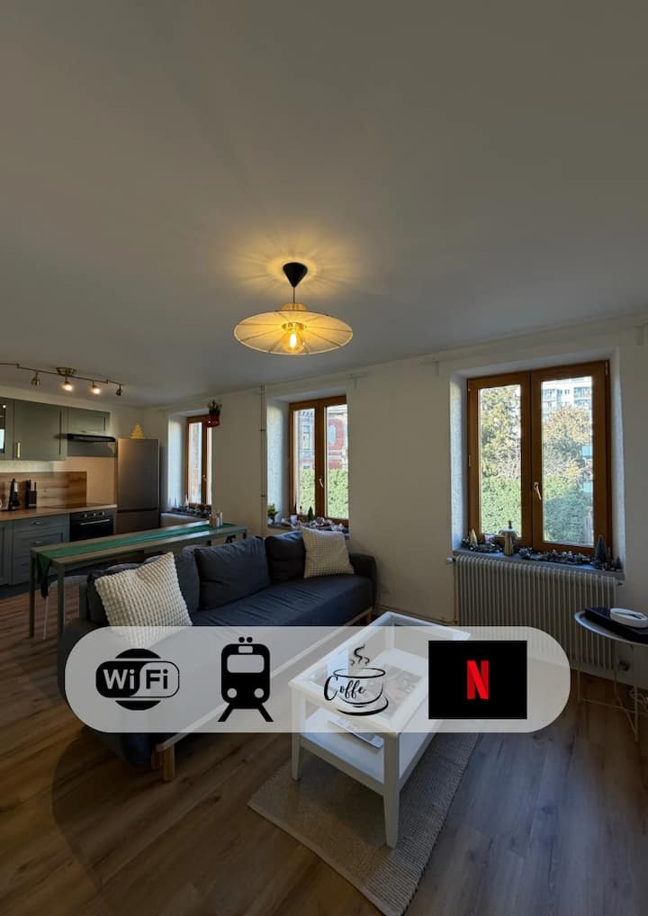 Le 16 - Centre Ville, 8 Personnes. Duplex Neuf - Colmar