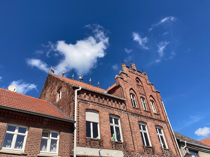 Rustic Historic House At The Elbe - Havelberg