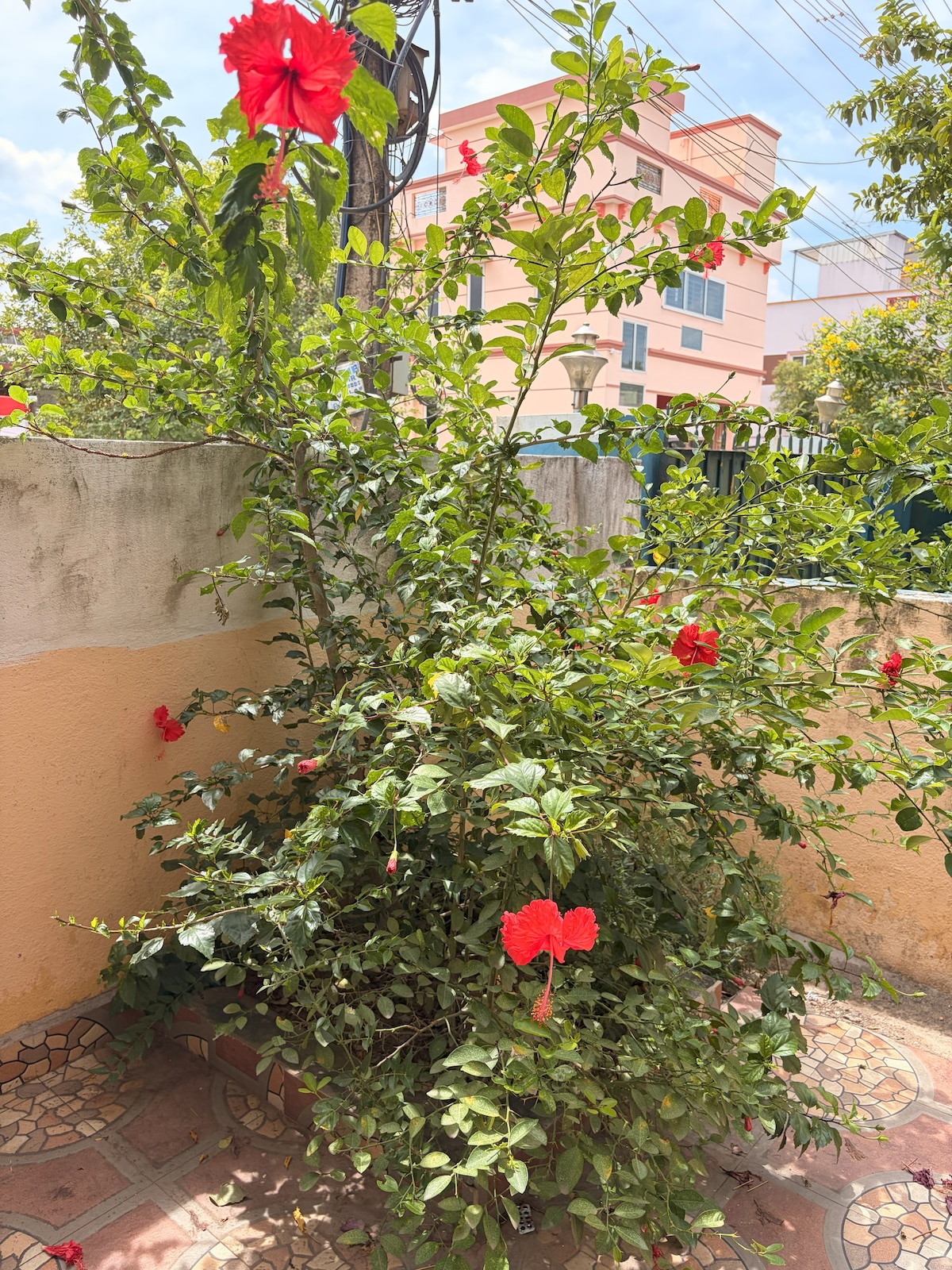 El Aposento Alto - Shalom Deo (Avadi, Chennai) - Casas en renta en ...