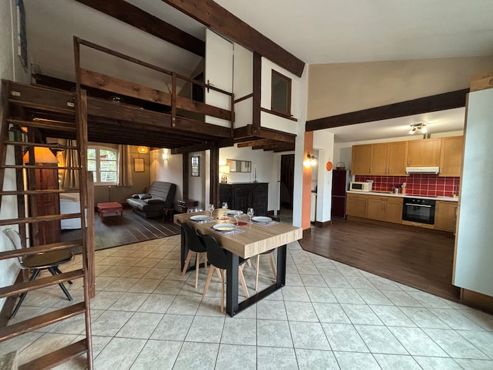 Maison Duplex T3, Atypique à St Martin Du Touch - Cugnaux