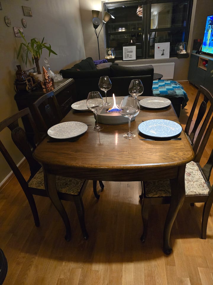 Sentral Leiligheten. Utsikt Opp Mot Holmenkollen - Oslo