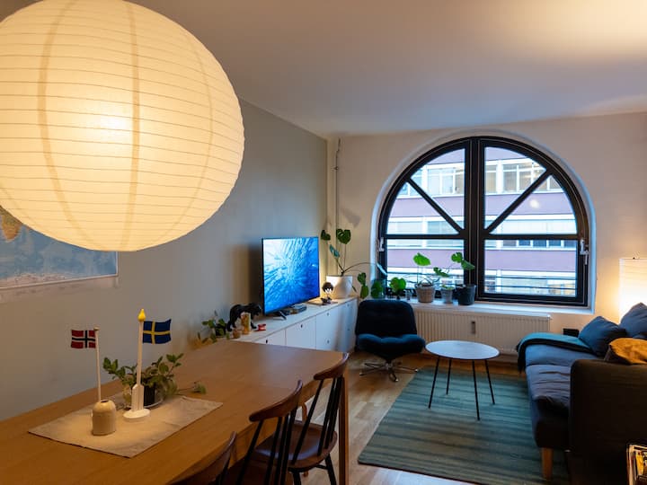 Nydelig Fabrikkleilighet Midt I Oslo Sentrum - Oslo