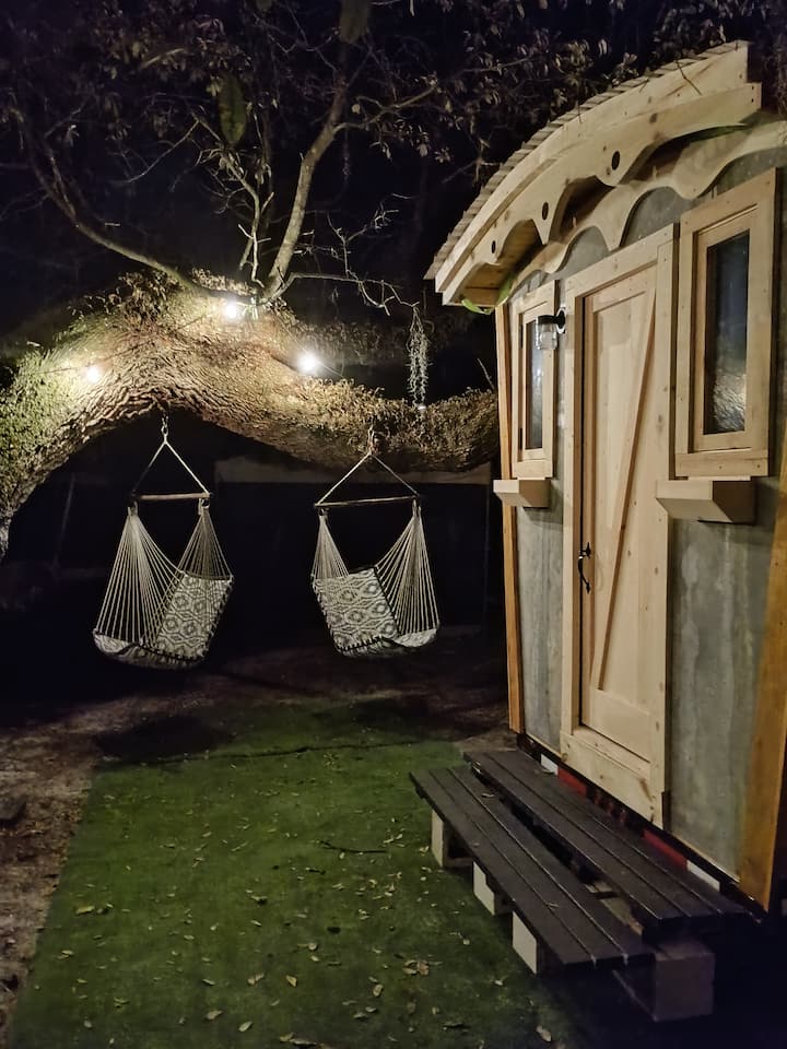 Gypsy Chick At True Trail Farms - DeLand