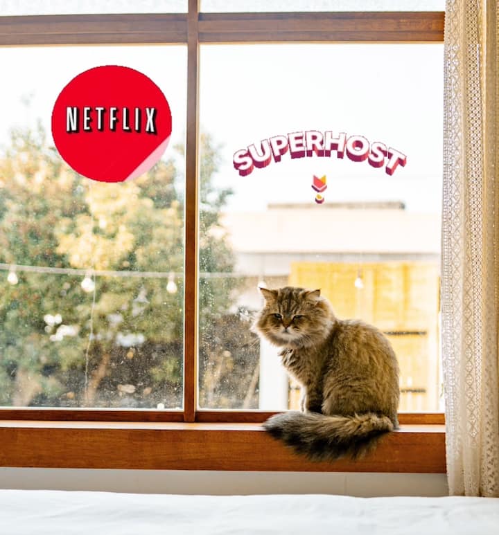 *너만없어고양이* Cathost Sunny's Bnb* [3월 특별할인*]코타츠와 고양이* - Jeju-si