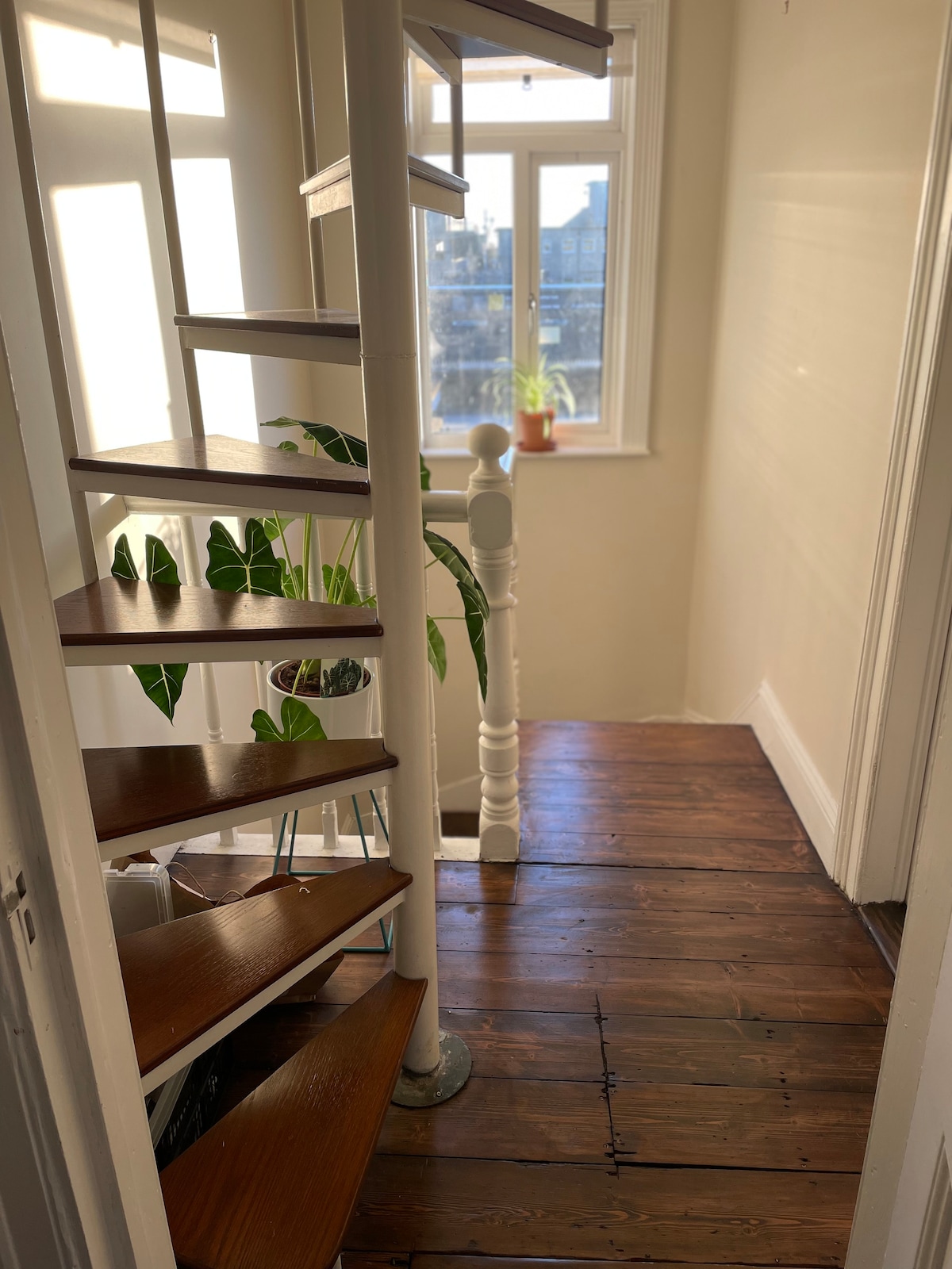 Quiet location 10 minute walk to city centre - Houses for Rent in ...