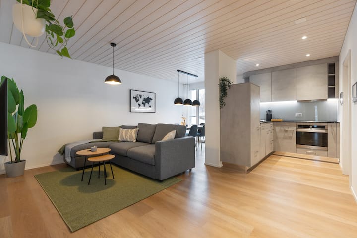 Modern Alpine Stay With Free Parking - Giswil