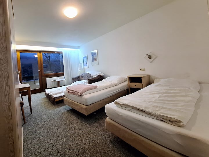 Apartment Economy Im Hotel Quellenhof - Metzingen