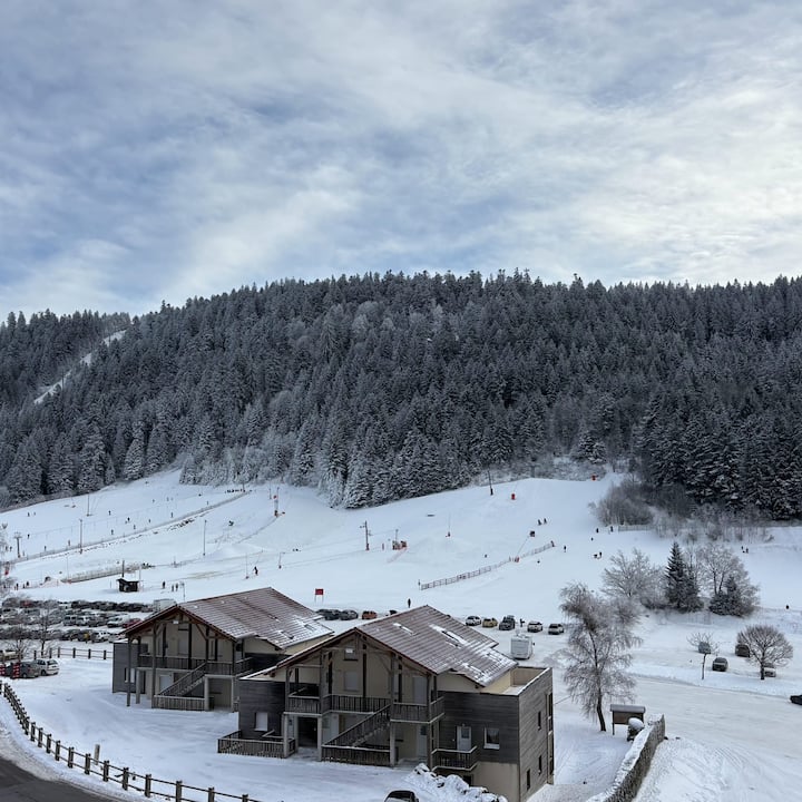 Duplex Confort Aux Pieds Des Pistes - Gérardmer - Gérardmer