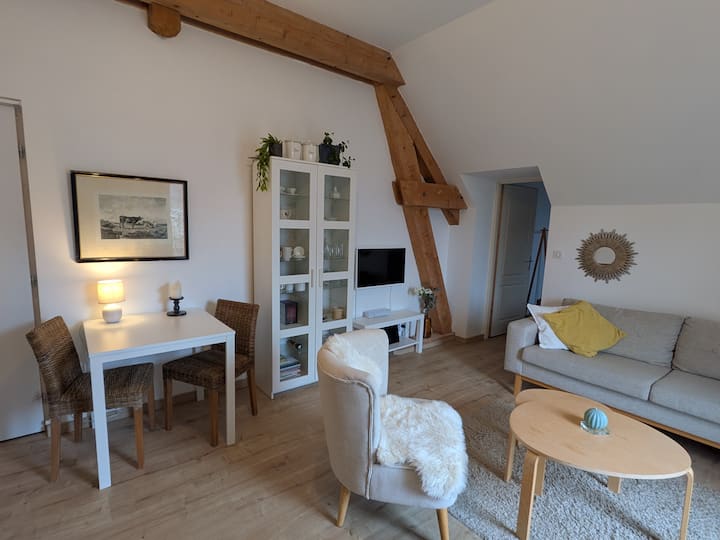 Logement Cosy Avec Terrasse Et Jardin. - Saône-et-Loire