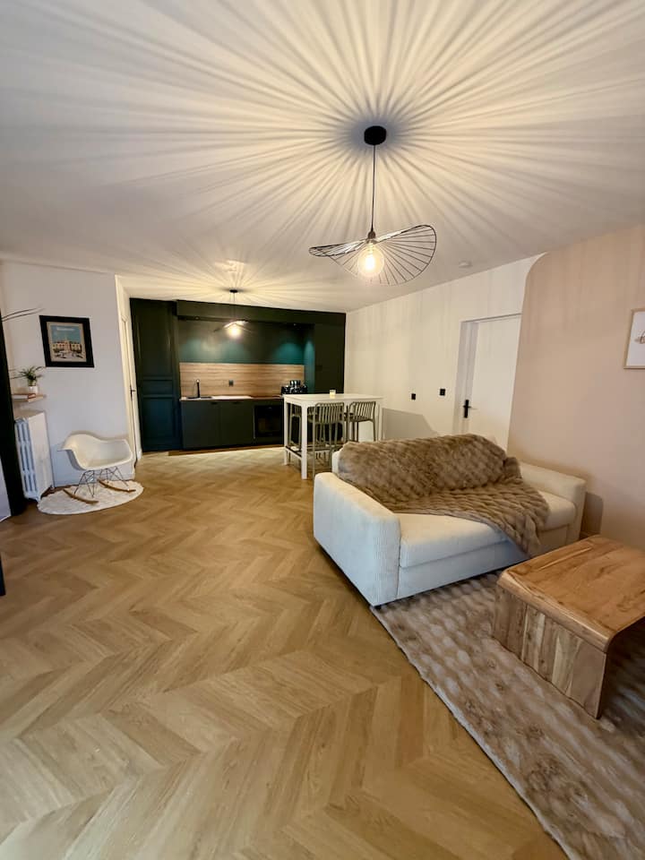 Appartement Cosy Et Premium – Centre De Roanne - Ibis Budget Roanne Hôtel