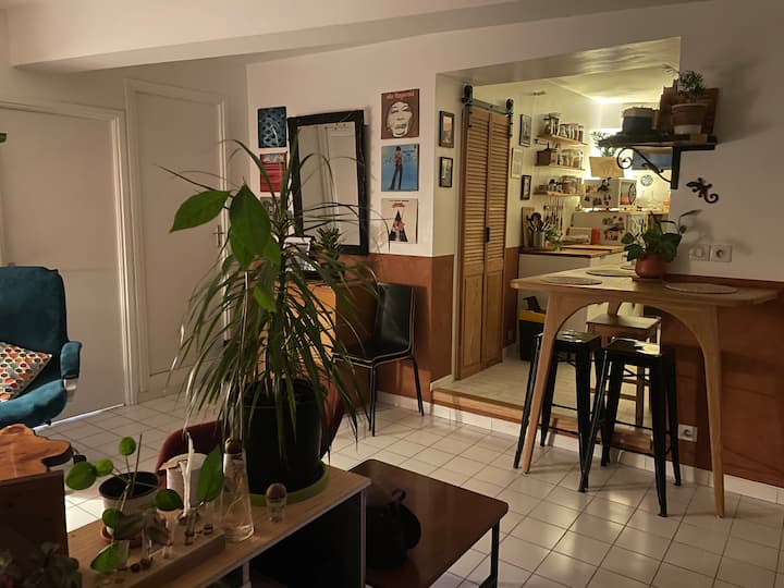 Chambre Chez L’habitant Avec Jardin. - Montpellier