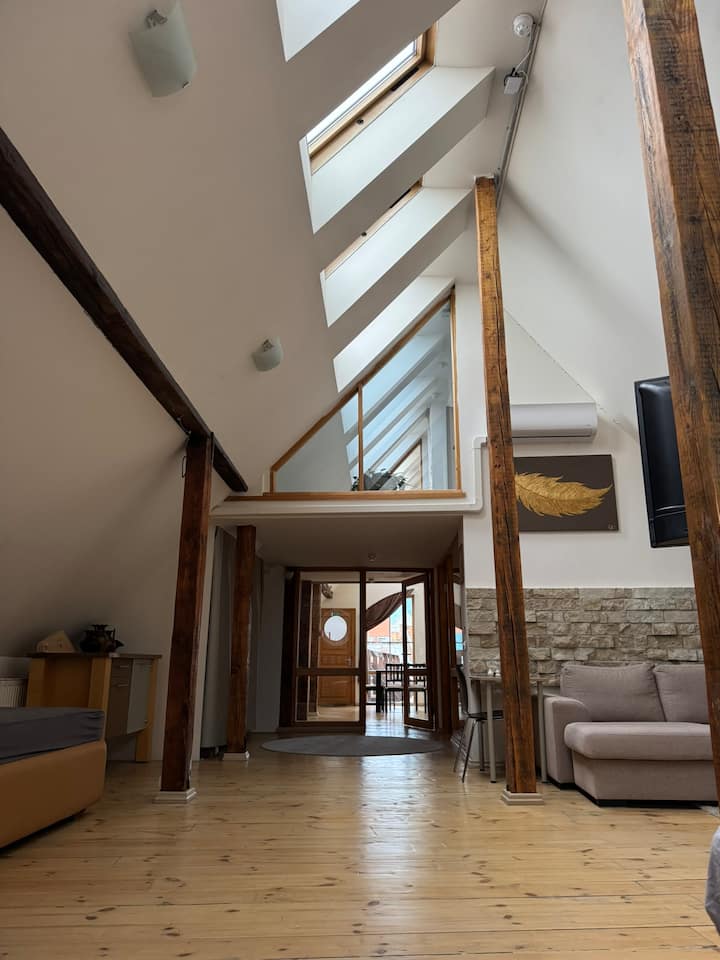 Penthouse With A Roof Terrace In Riga Old Town - Riga, Latvia