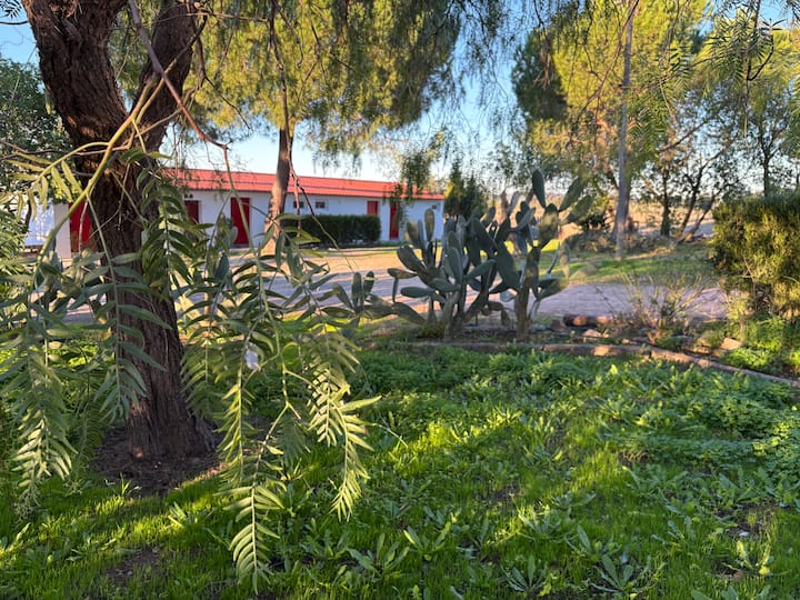 Monte Da Palmeira 1 Feedme Farm - Viana do Alentejo