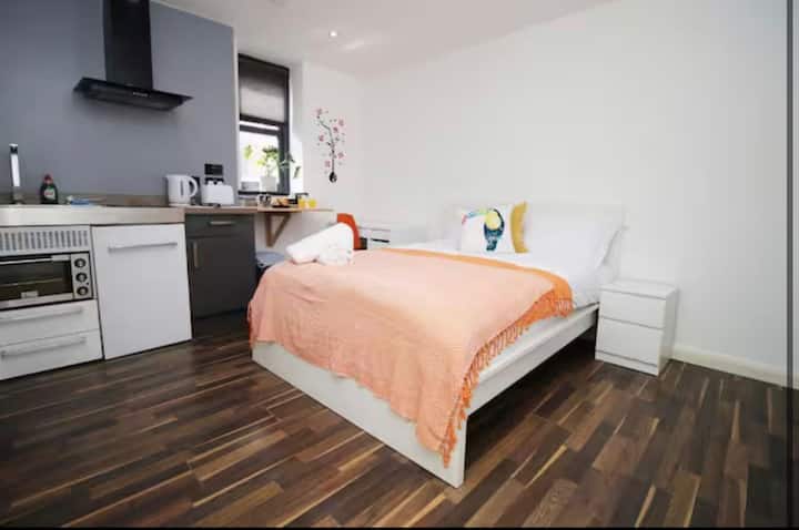 Spacious 1-bed Studio, Free Wi-fi, Working Space - Cardiff
