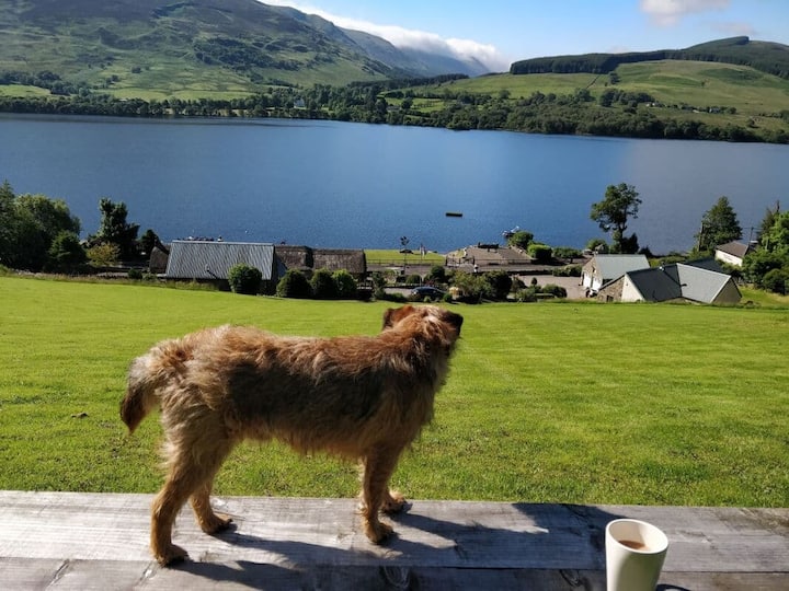 Little Briar On Loch Earn, Tails Guaranteed To Wag - Loch Tay