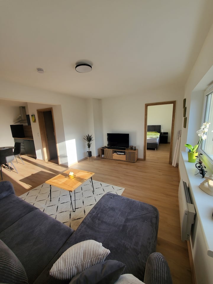 Appartement Lumineux 60 M² à Seltz - Bas-Rhin