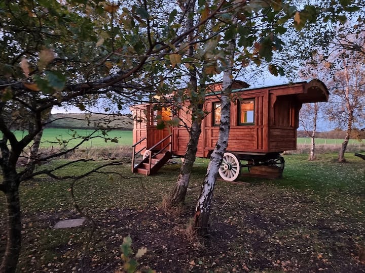 Woodland Wagon With Hot Tub - Forres