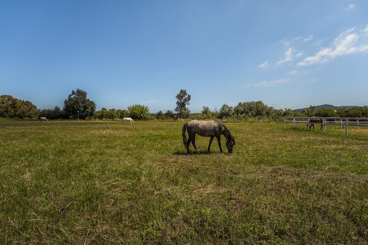 Gîte Dar El Karma - Tabarka
