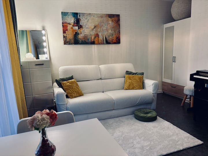 Studio Premium Avec Balcon & Vue Cathédrale - Strasbourg