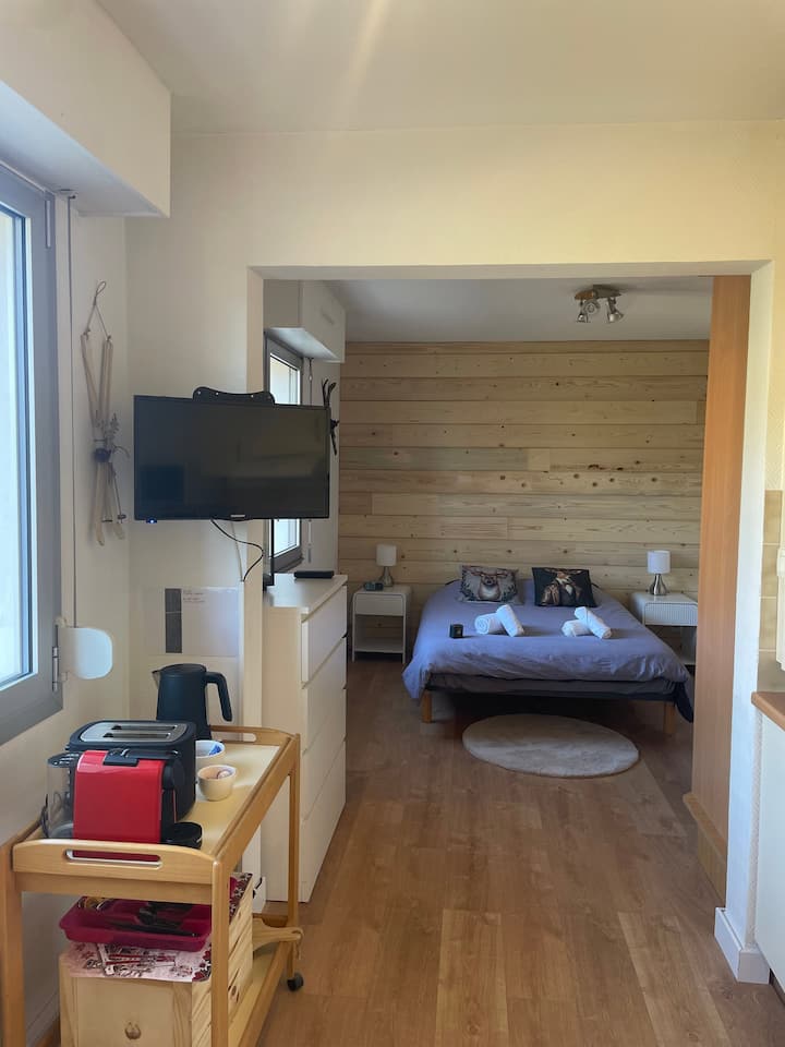 Cosy Lake Studio - Gérardmer