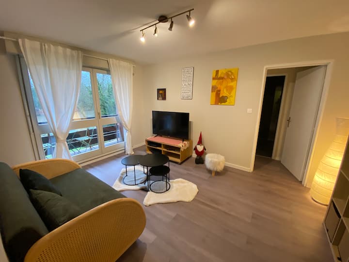 F2 Lumineux Pour 4 Personnes Centre Alsace - Benfeld