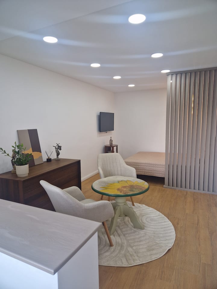 Apartament Ultracentral - 1 Camera - Adjud