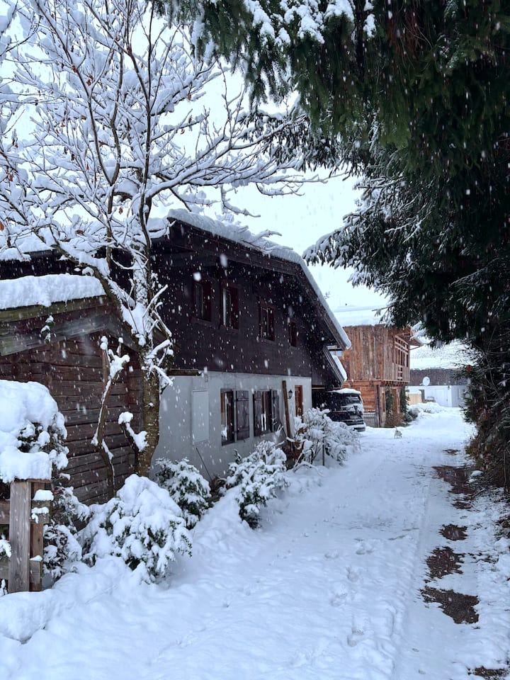 Mountain Chalet - Kitzbuhel